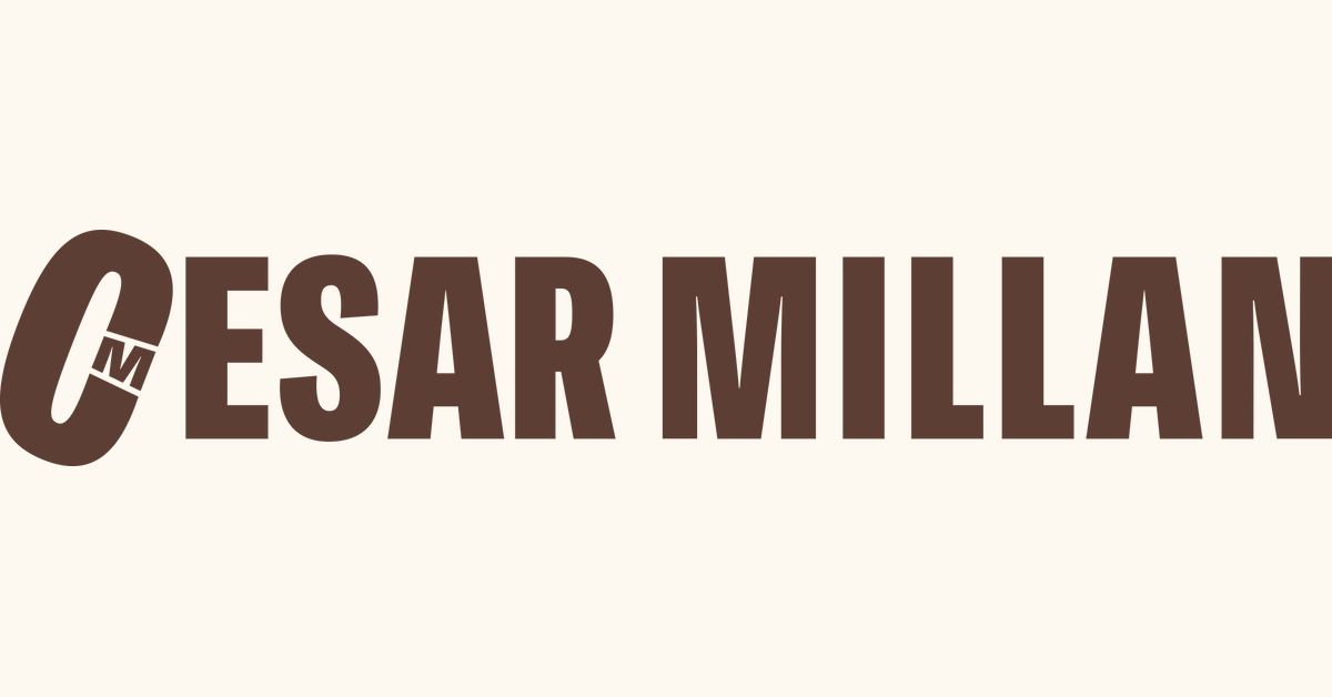 Cesar's Way, Inc – Cesar's Way, Inc